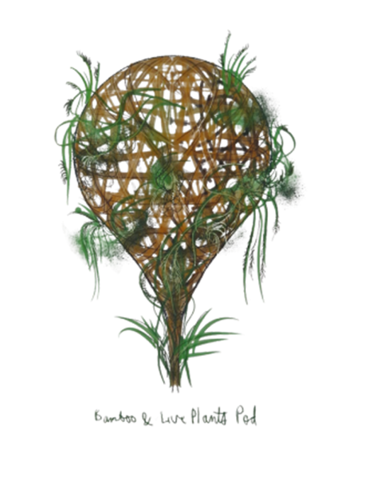 "Elemental" Art Pod Studies, 2023: Bamboo and Live Plants – The Art House